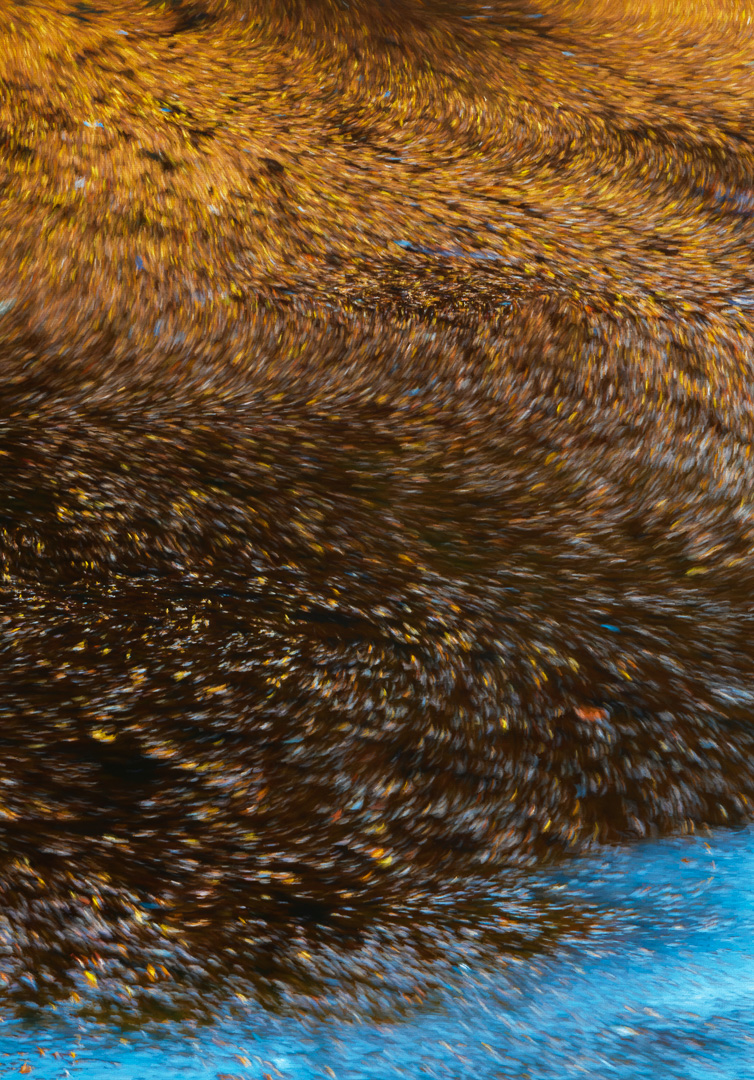 Hugh Walker – thebarbadosphotographicsociety