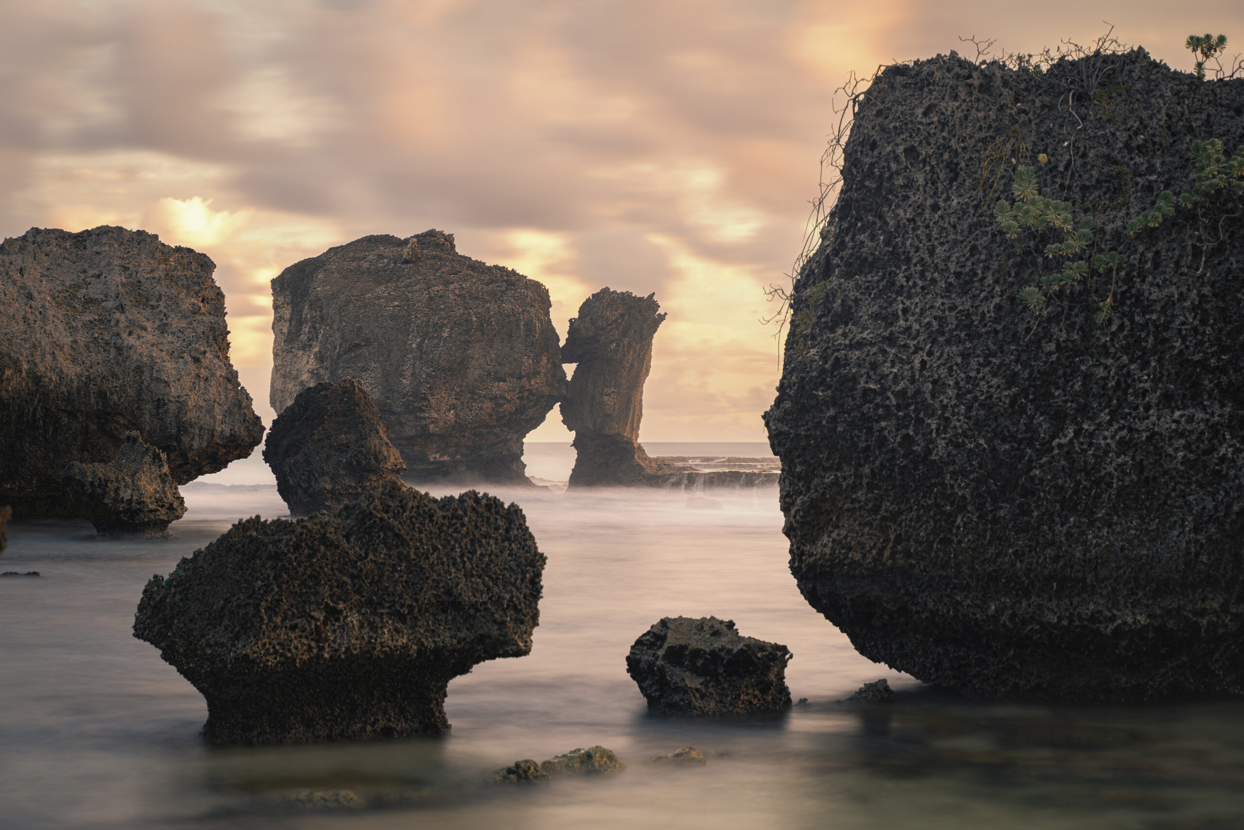 Hugh Walker – thebarbadosphotographicsociety